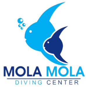 10 Golden Rules For Safe Scuba Diving | Scuba Diving Travel Guide