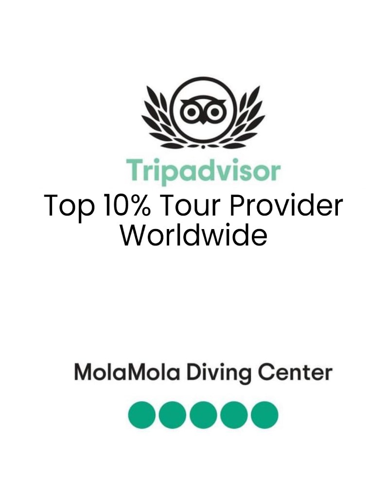 Home - Mola Mola Diving Center